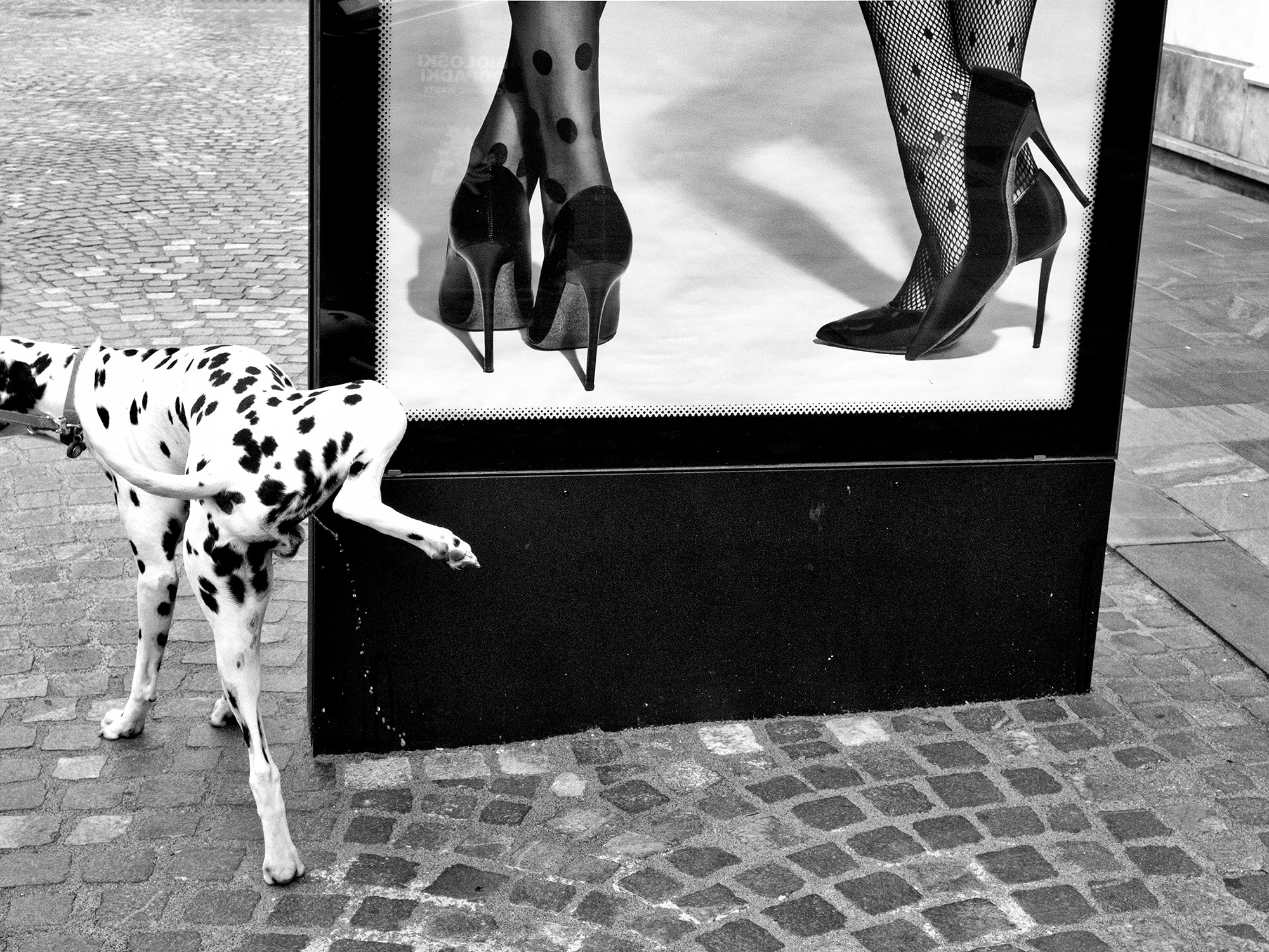 marco.parenti Upload image DSCF9312AdaptiveExposure - Masters Of ...