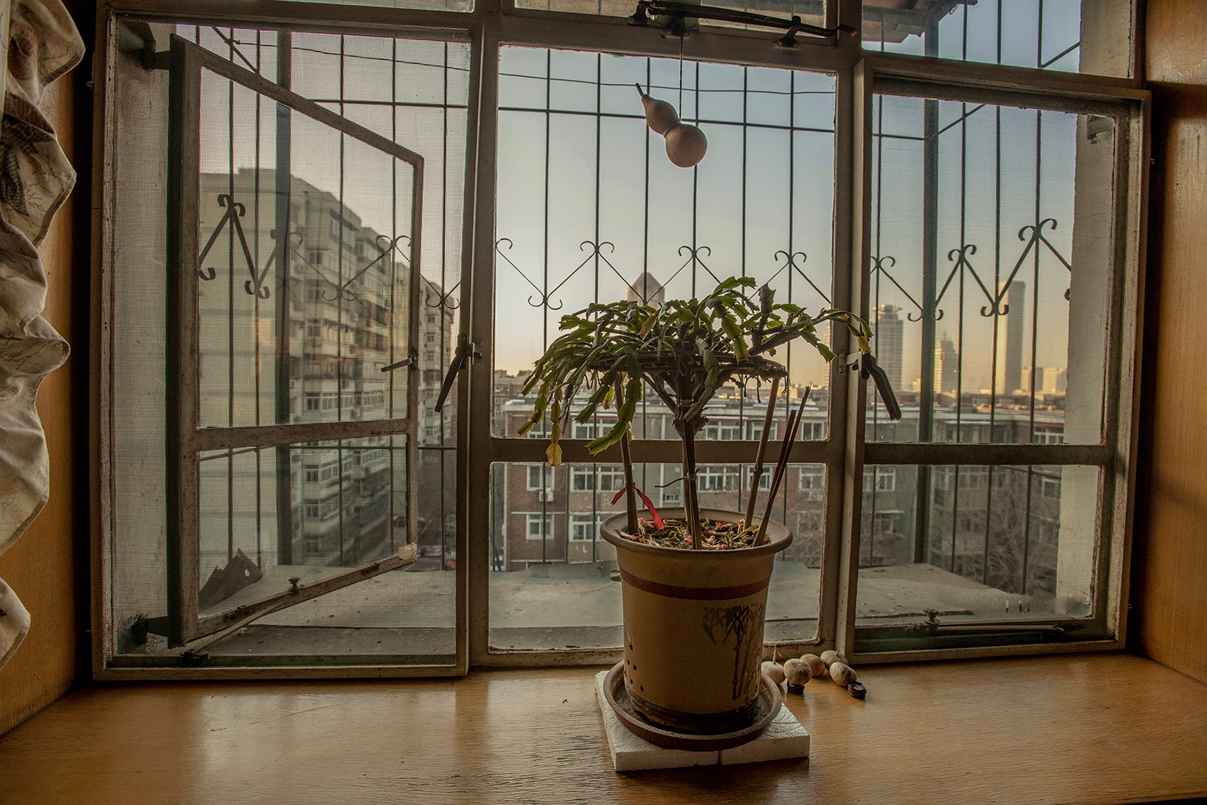 raymond m ray.thrupp Upload image 17_DSC1558-as-Smart-Object-1 ...